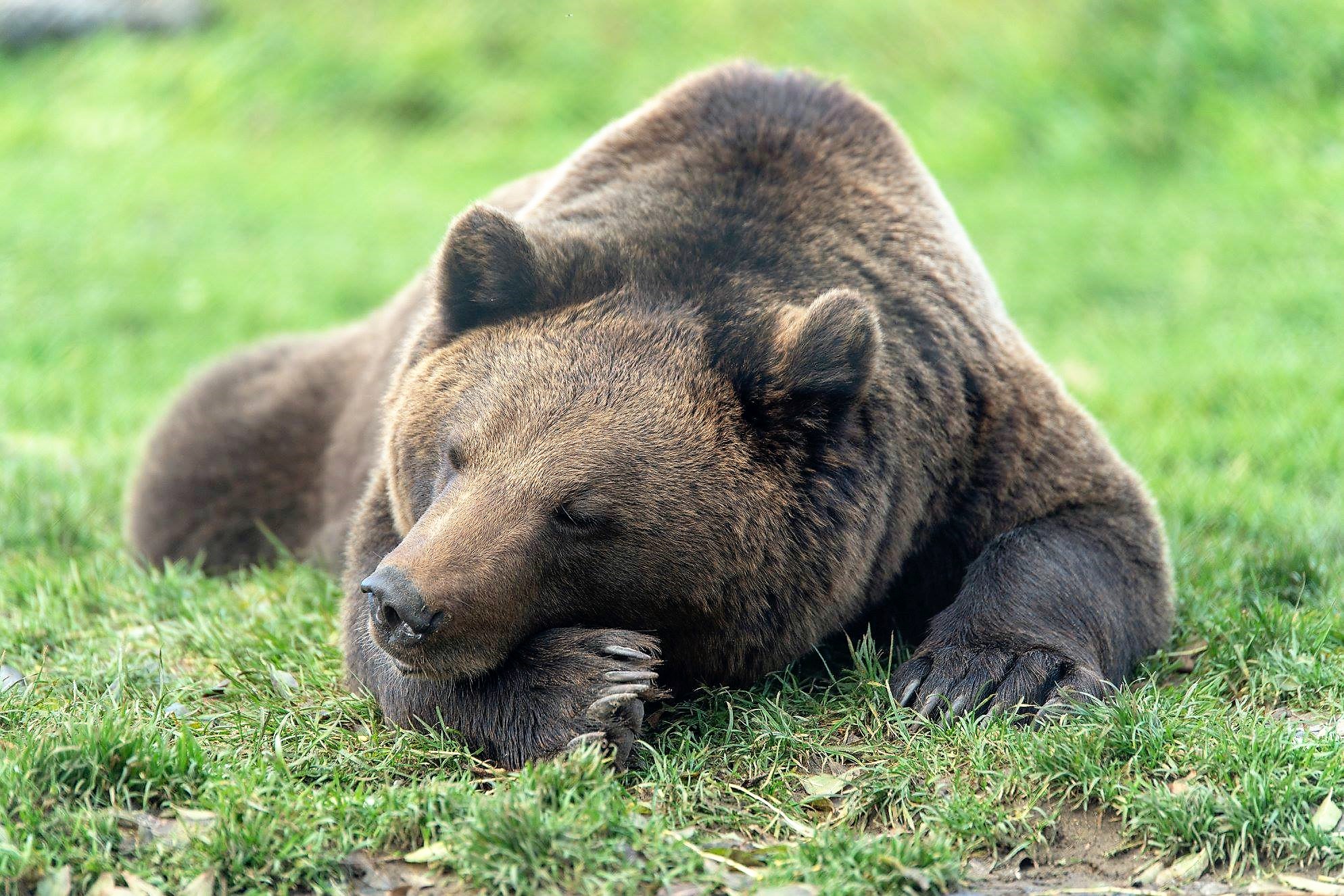 Veel voorkomende aandoeningen